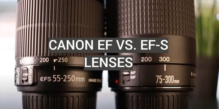 Canon EF vs. EF-S Lenses. What is the Difference? - FotoProfy