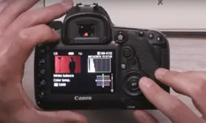 Nikon DX vs. FX Lenses. What is the Difference? - FotoProfy