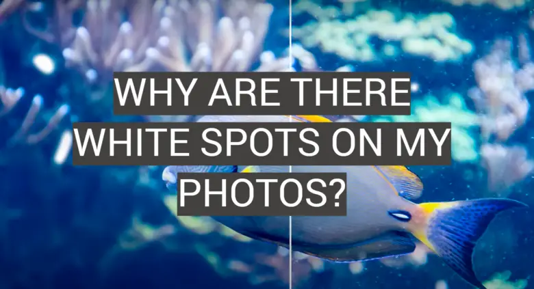Why Are There White Spots On My Photos? - FotoProfy