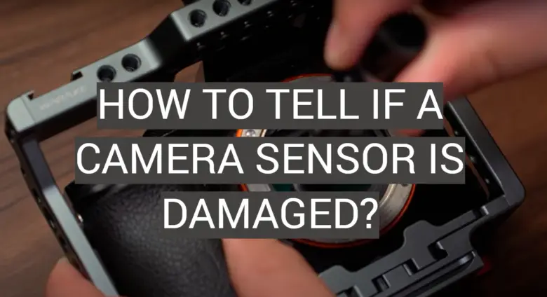 How to Tell if a Camera Sensor is Damaged? - FotoProfy