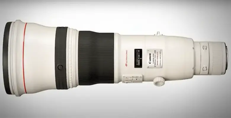 Telephoto Lens vs. Zoom Lens: Main Differences - FotoProfy