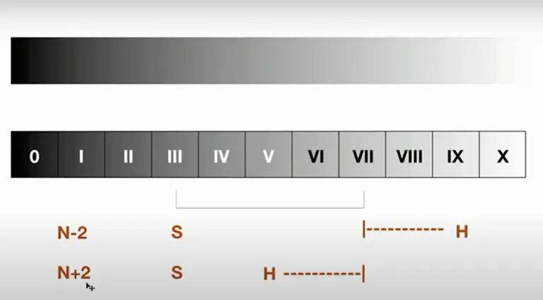 What is Value in Photography? Easy Explanation! - FotoProfy