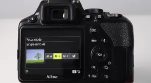 AF vs. MF on Canon Lens: What’s the Difference? - FotoProfy