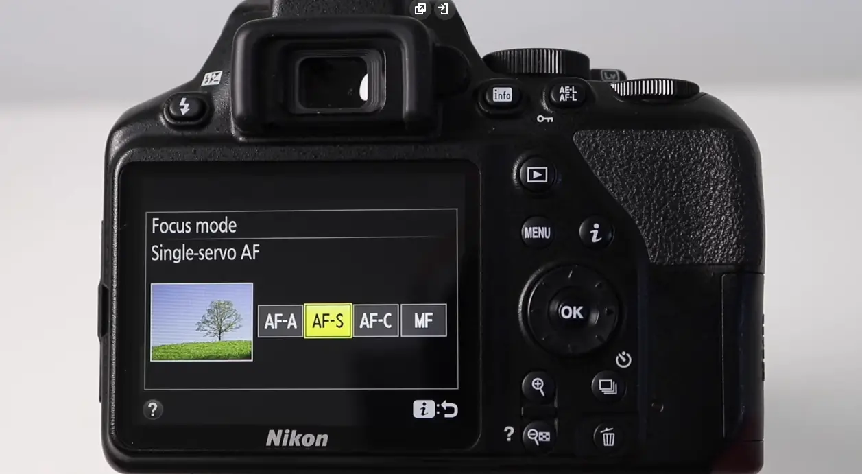 AF vs. MF on Canon Lens: What’s the Difference? - FotoProfy