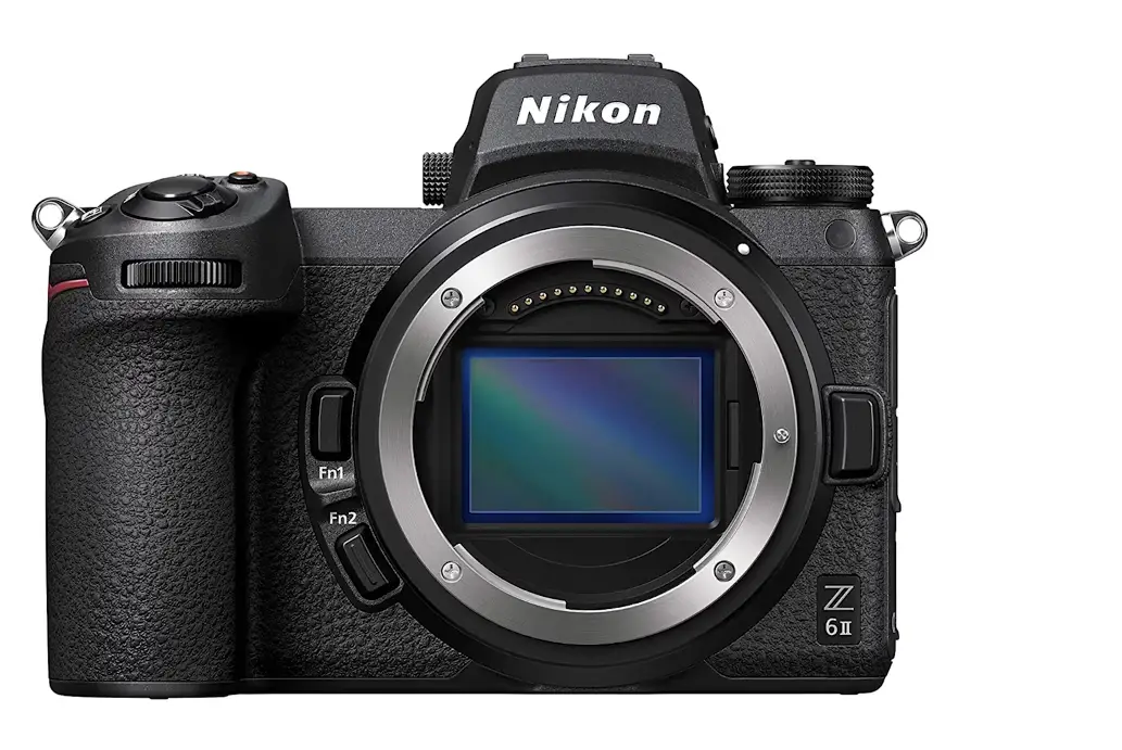 How to Shoot in RAW With Your Nikon Camera? - FotoProfy