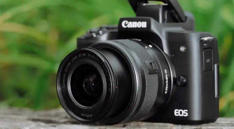 Canon Camera Not Recognized by Windows: What to Do? - FotoProfy