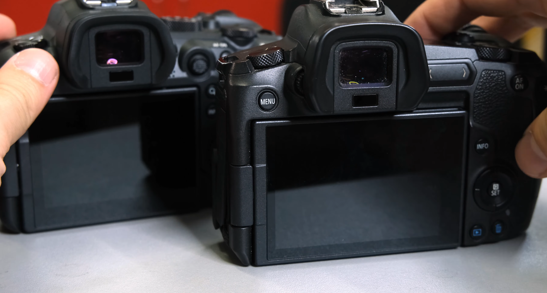 Canon EOS R vs. R6: What’s the Difference? - FotoProfy