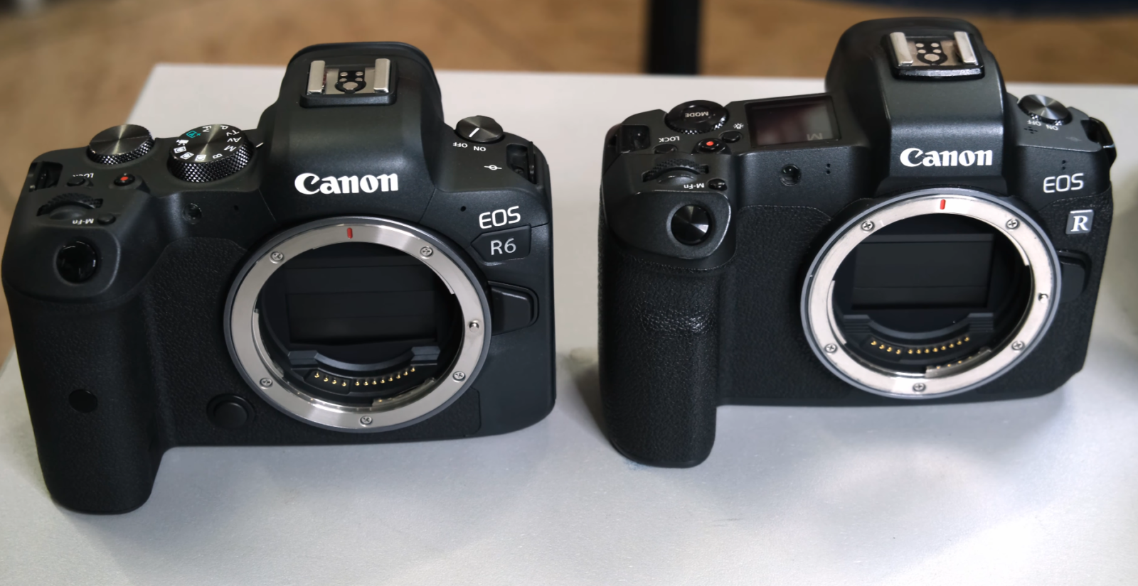 Canon EOS R vs. R6: What’s the Difference? - FotoProfy