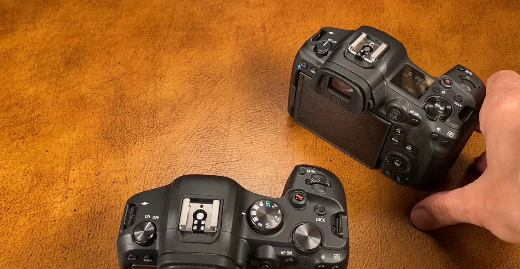 Canon EOS R vs. R6: What’s the Difference? - FotoProfy