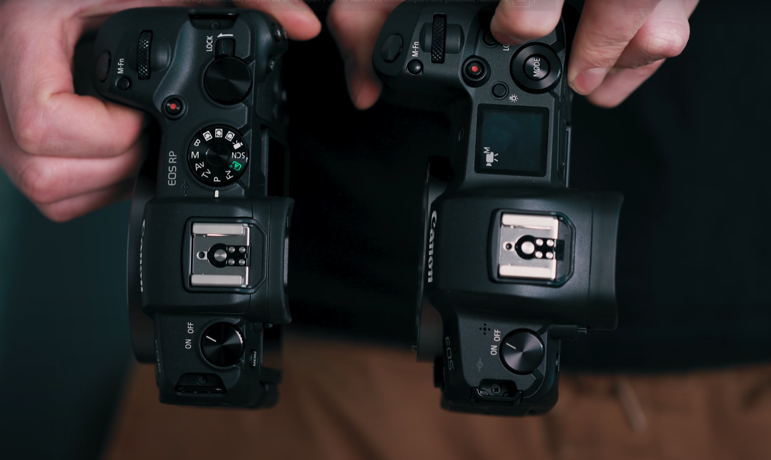 Canon EOS R vs. RP: What’s the Difference? - FotoProfy
