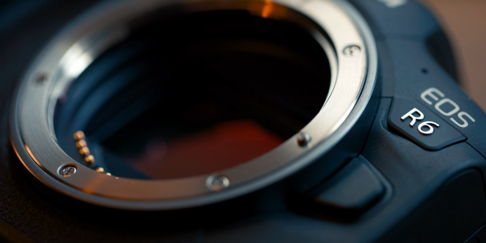 Canon EOS R5 vs. R6: What’s the Difference? - FotoProfy