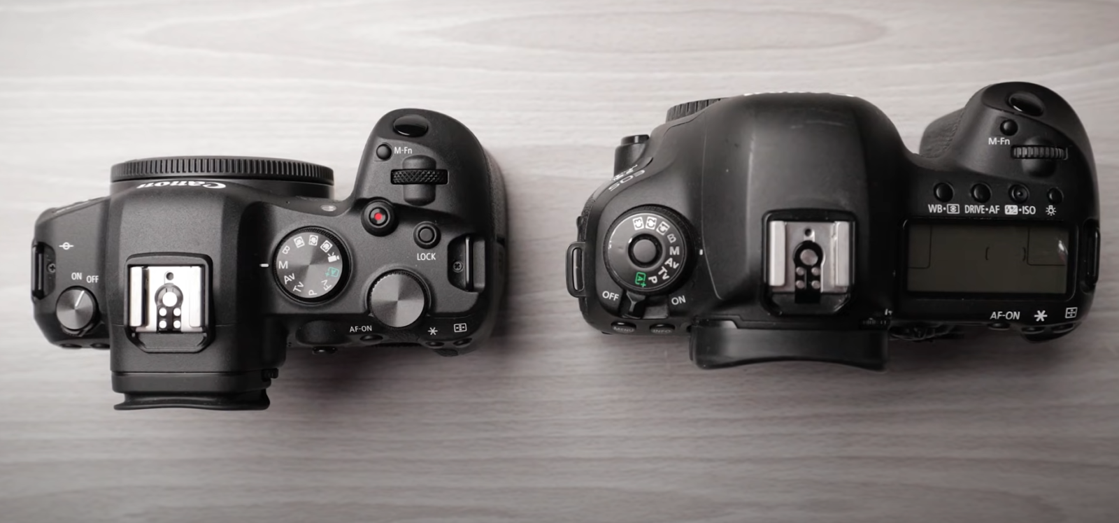 Canon EOS R6 vs. 5D Mark IV: What’s the Difference? - FotoProfy