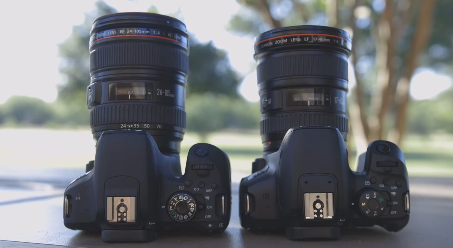 Canon EOS Rebel T7i vs. T8i: Which is Better? - FotoProfy