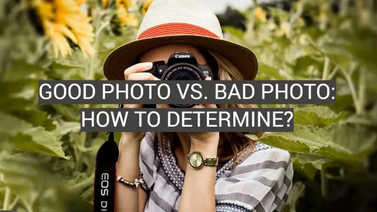 Good Photo vs. Bad Photo: How to Determine? - FotoProfy