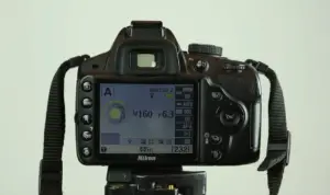 Nikon D3300 Autofocus Not Working: How to Fix? - FotoProfy