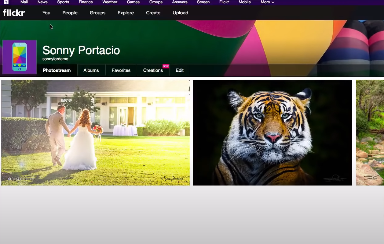 Flickr vs. SmugMug: Which is Better? - FotoProfy
