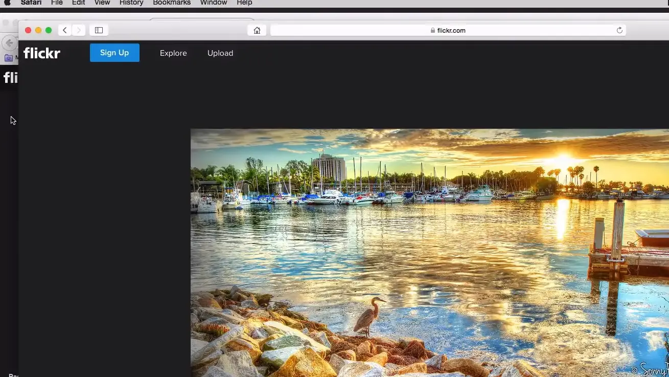 Flickr vs. SmugMug: Which is Better? - FotoProfy