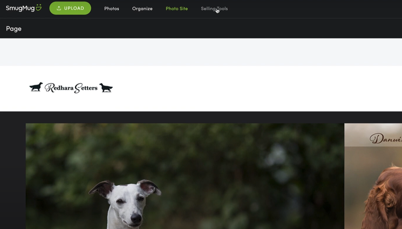 Flickr vs. SmugMug: Which is Better? - FotoProfy