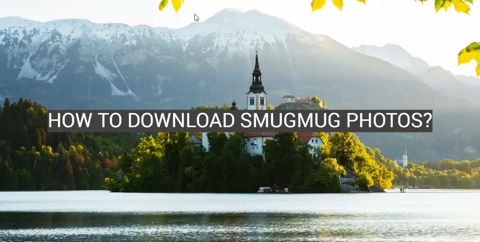 How to Download SmugMug Photos? - FotoProfy