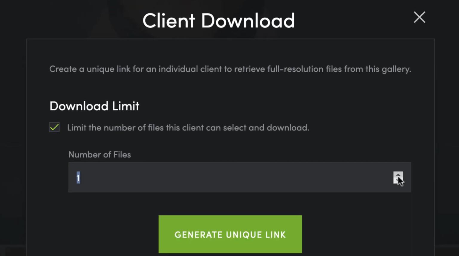 How to Download SmugMug Photos? - FotoProfy
