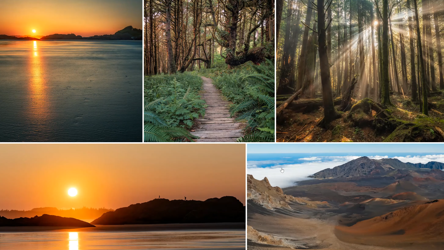 SmugMug vs. 500px: Which is Better? - FotoProfy