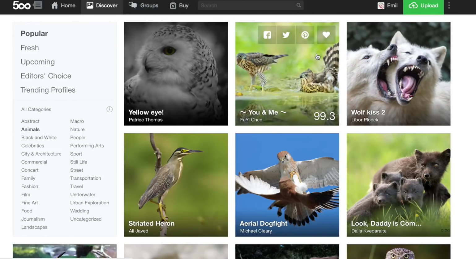 SmugMug vs. 500px: Which is Better? - FotoProfy