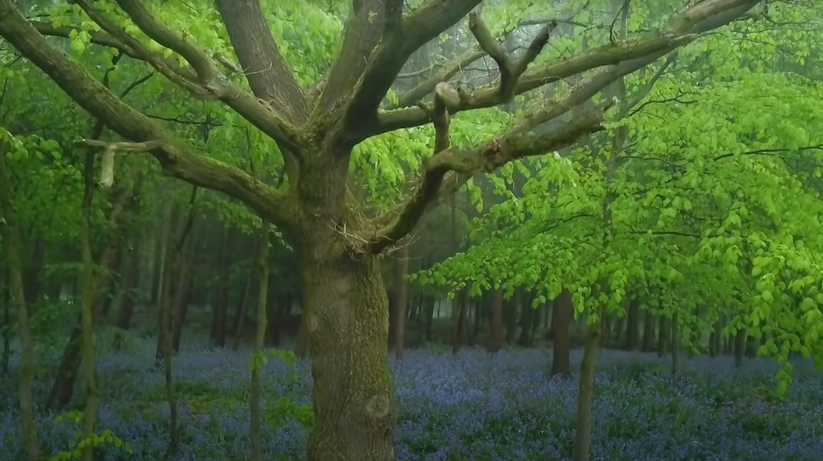 Spring Photoshoot Ideas - FotoProfy