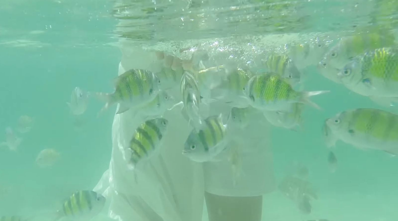 Water Photoshoot Ideas - FotoProfy