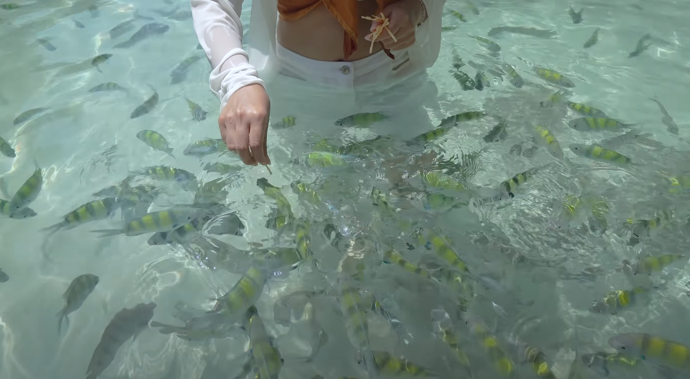 Water Photoshoot Ideas - FotoProfy