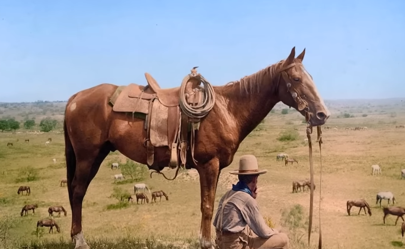 Western Photoshoot Ideas - FotoProfy