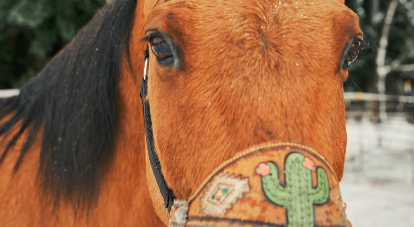 Western Photoshoot Ideas - FotoProfy