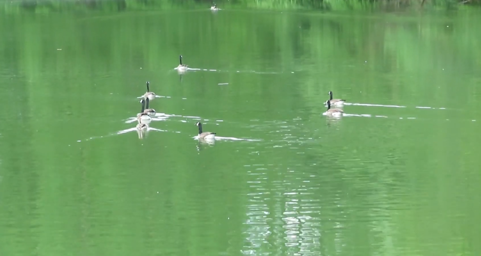 Atlanta Photoshoot Locations - FotoProfy