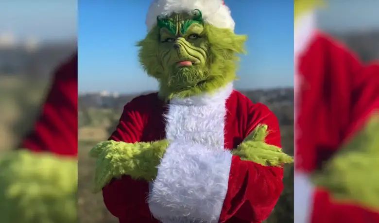 Grinch Photoshoot Ideas - FotoProfy