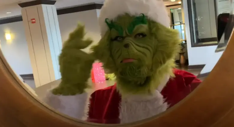 Grinch Photoshoot Ideas - FotoProfy