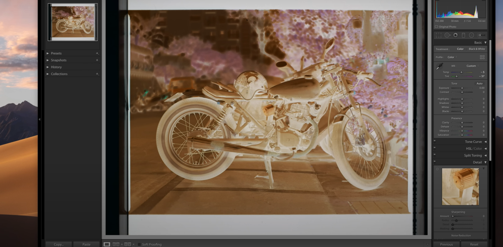 How to Scan Negatives? - FotoProfy