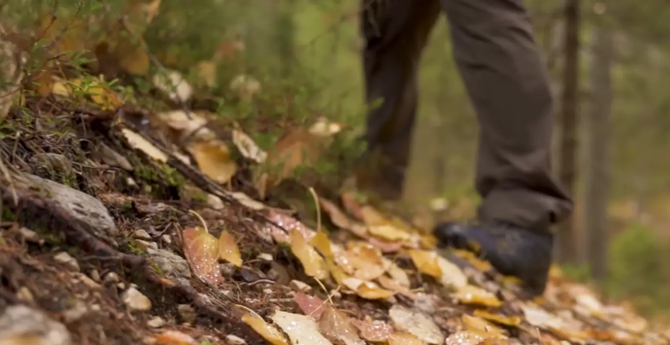 How to Take Close-Up Pictures With iPhone? - FotoProfy