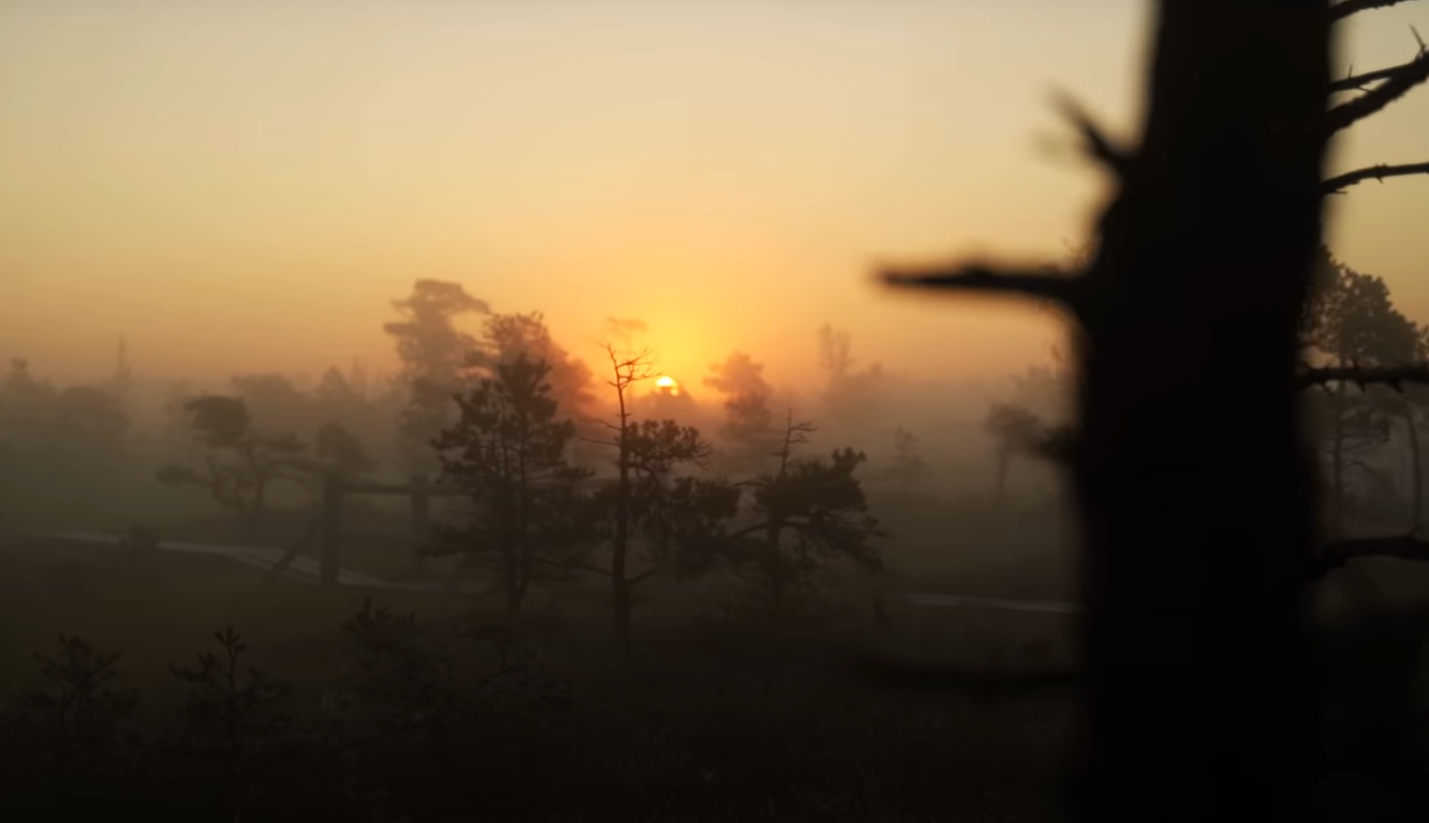 How to Take Pictures of the Sun With iPhone? - FotoProfy