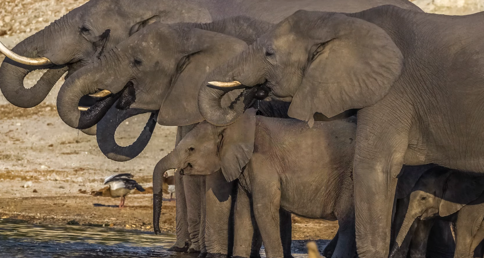 How to Take Shadows Out of Pictures? - FotoProfy