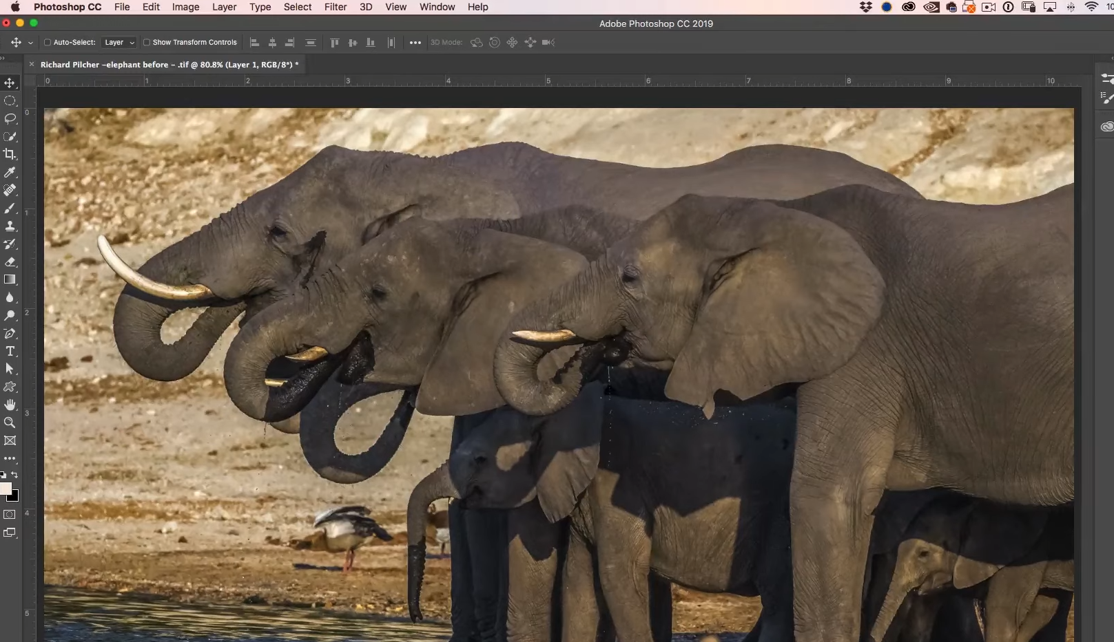 How to Take Shadows Out of Pictures? - FotoProfy