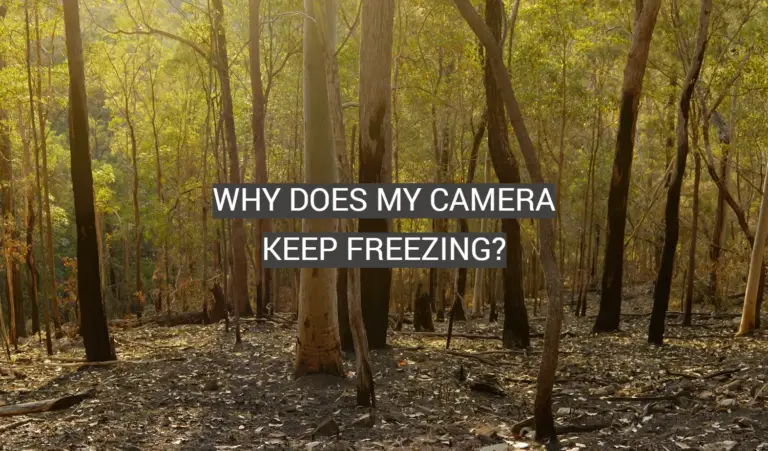 Why Does My Camera Keep Freezing? - FotoProfy