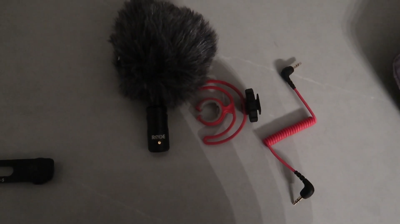 Does Canon G7X Mark II Have An External Mic Input? - FotoProfy