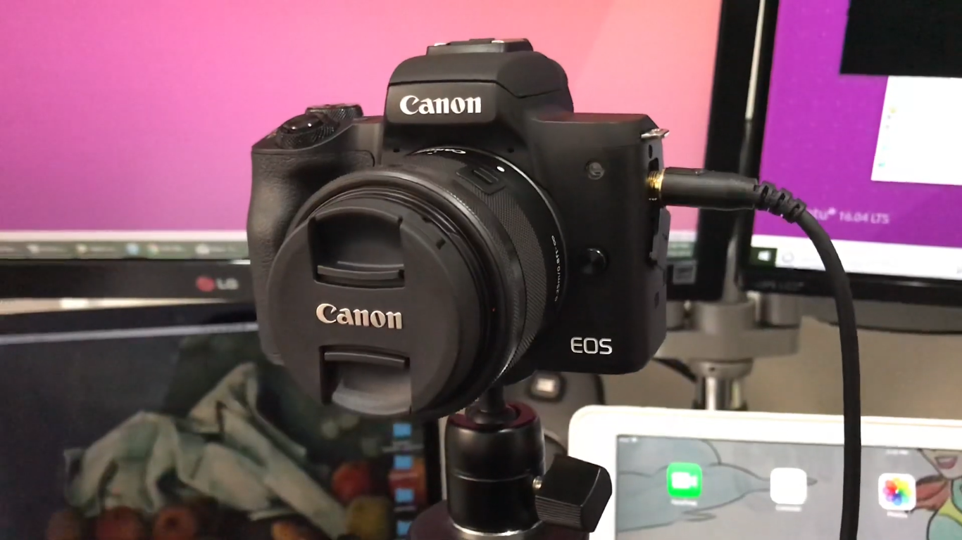 Does Canon M50 Have Mic Input? - FotoProfy