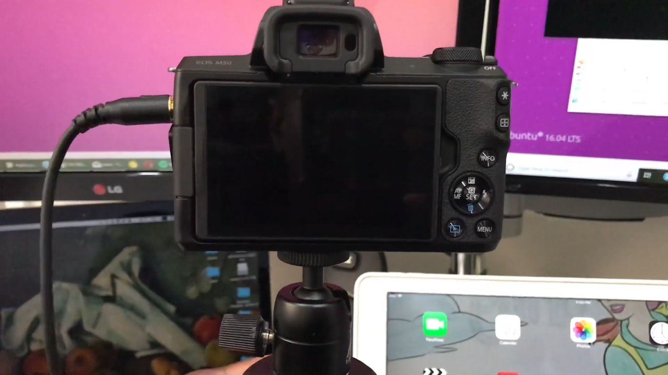 Does Canon M50 Have Mic Input? - FotoProfy