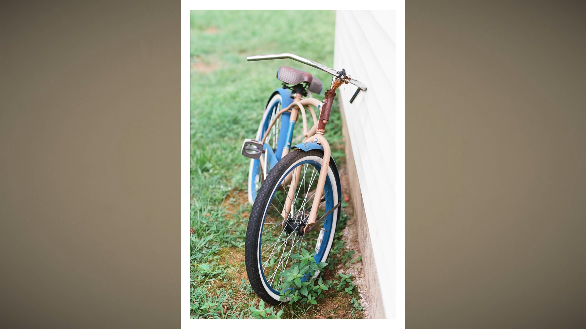 How Does Film Camera Work? - FotoProfy