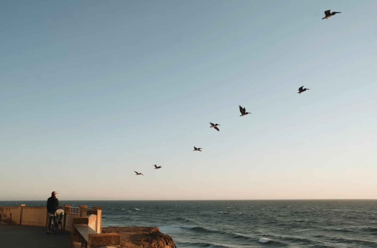 How Much Does It Cost to Develop Film at Walgreens? - FotoProfy