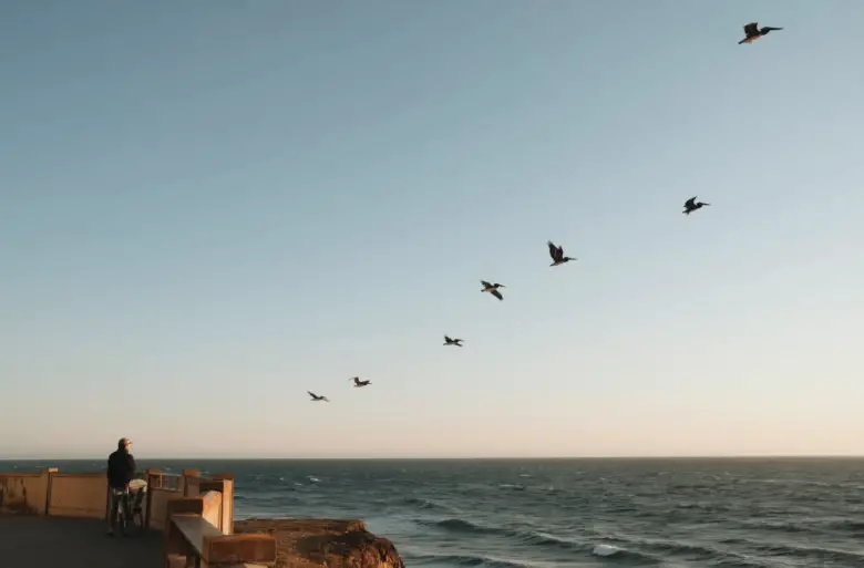 How Much Does It Cost to Develop Film at Walgreens? - FotoProfy