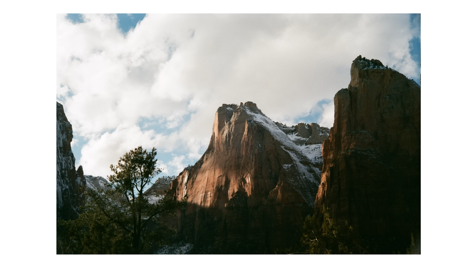 How to Know When Your Film Roll Is Done? - FotoProfy