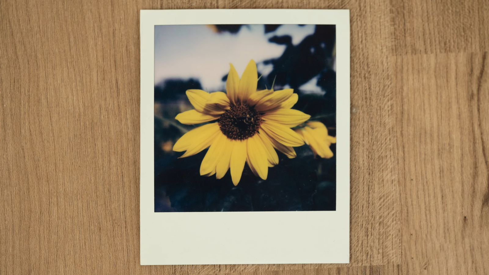How to Take Good Polaroid Pictures in the Dark? - FotoProfy