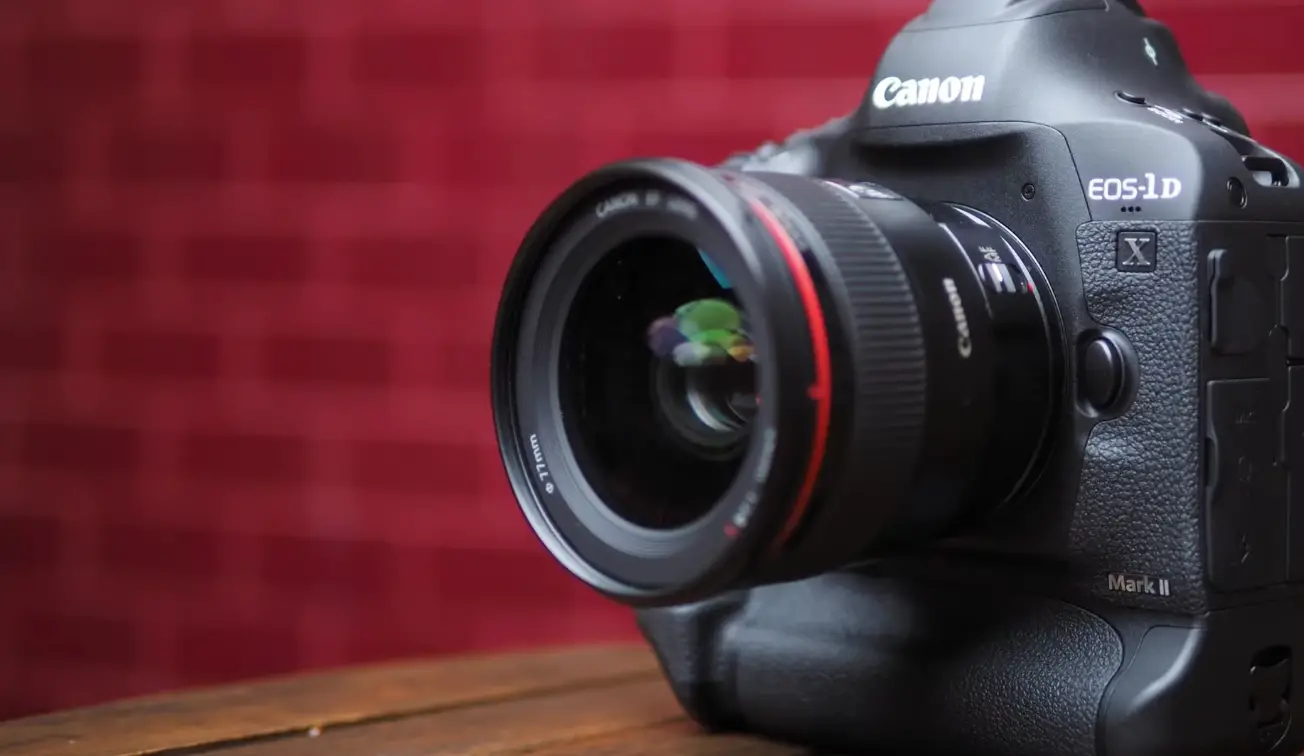 What Camera Does Peter McKinnon Use? - FotoProfy