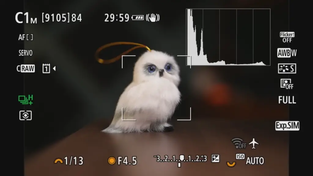 What Does Blown Out Mean In Photography FotoProfy What Does Blown Out Mean In Photography FotoProfy